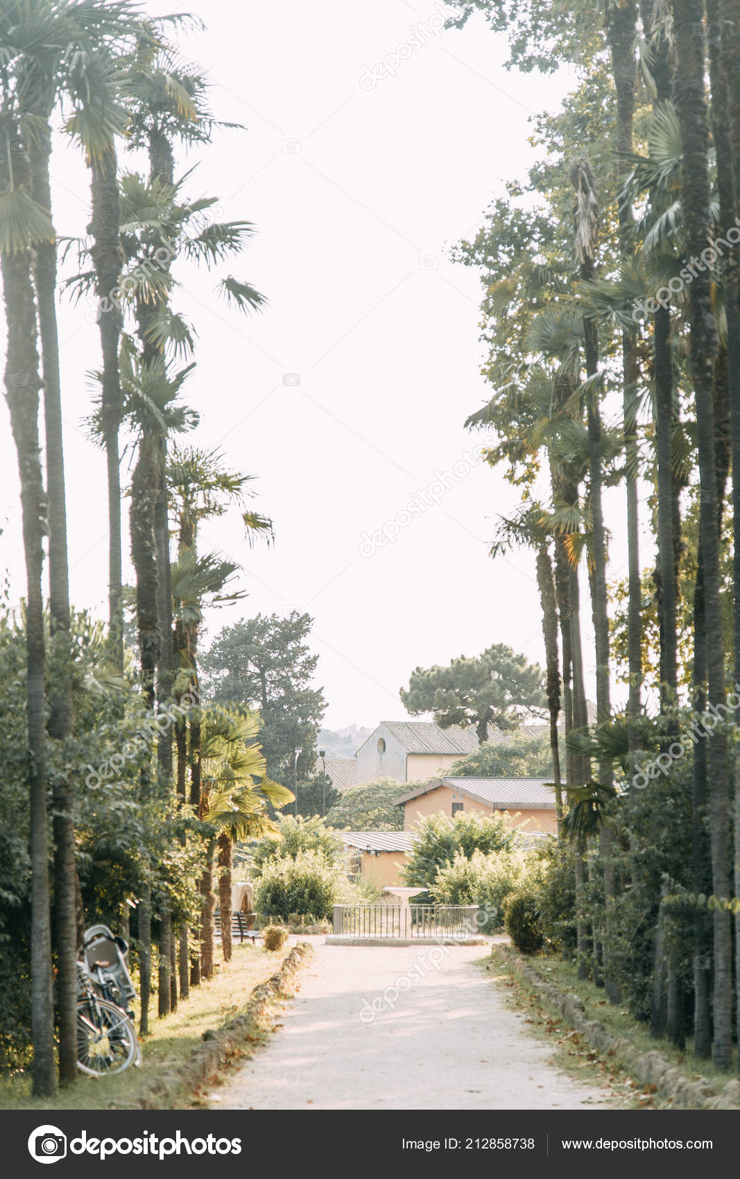 Architecture Rome Italian Style Stucco Sights Old Town Tourist Places ...