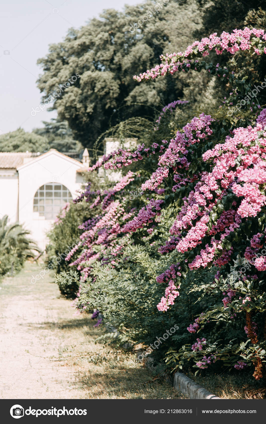 Sculptures Parks Rome Nature Architecture Ancient Monuments Culture ...
