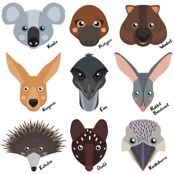 Australian animals Vector Art Stock Images | Depositphotos