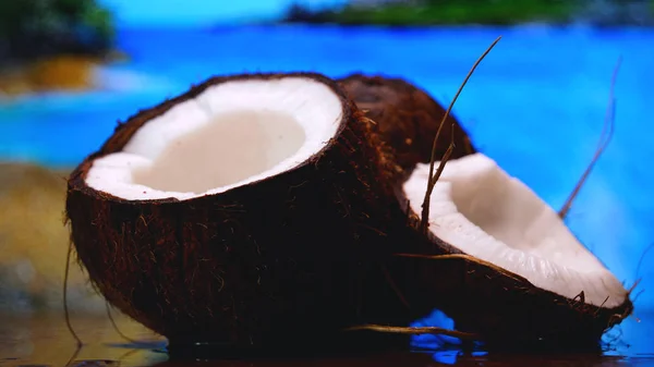 Coco natural fresco en el fondo del mar, la naturaleza y la puesta del ...