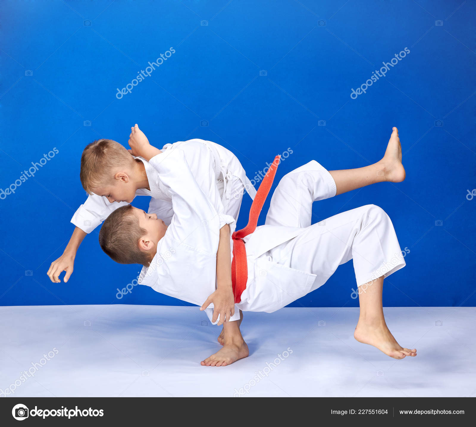 Judo Throws
