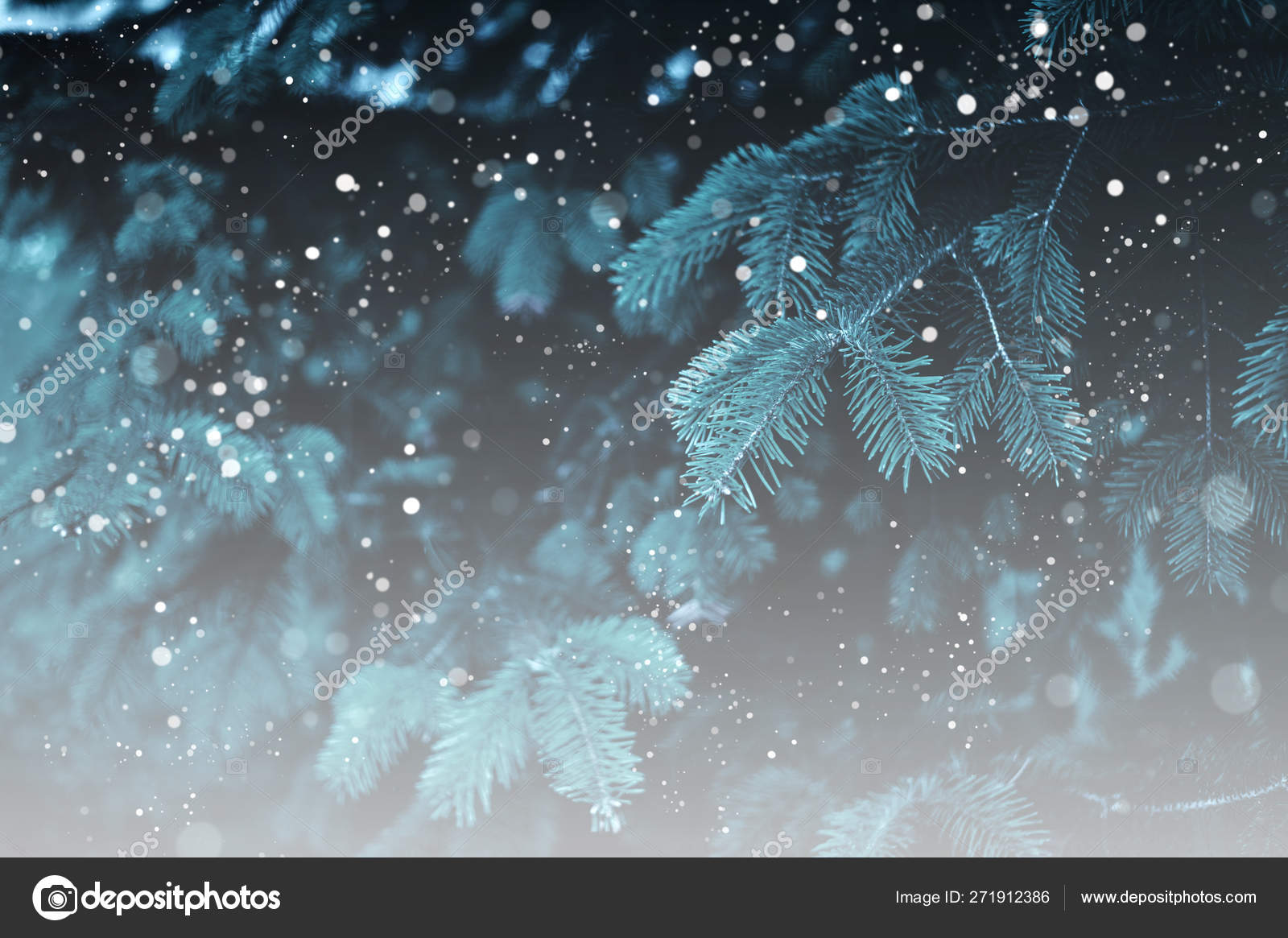 Background a texture furry spruce tree branches Stock Photo by ...