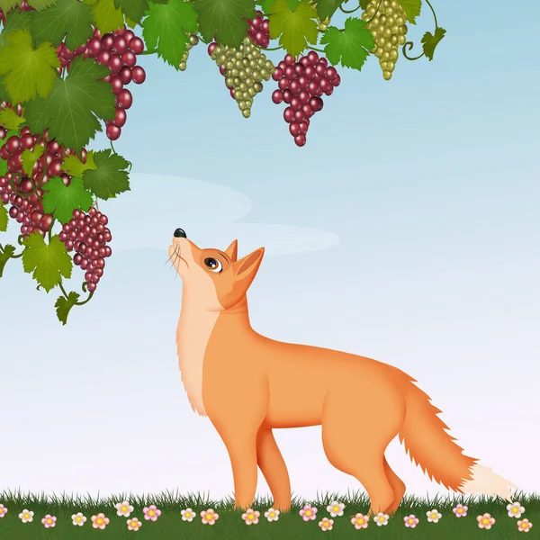 Fox and grapes Stock Photos, Royalty Free Fox and grapes Images ...