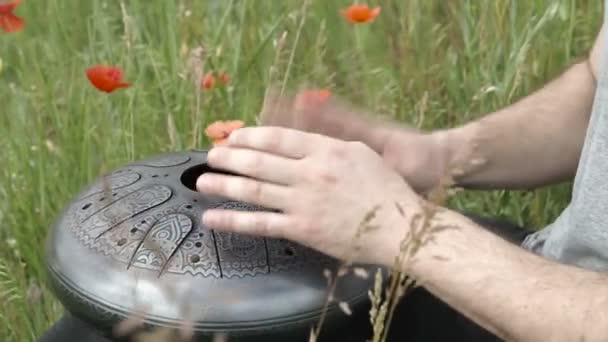 Drummer Action Man Sitting Grass Playing Handpan Hang Hang Traditional ...
