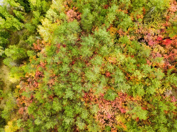 Birds eye view Images - Search Images on Everypixel