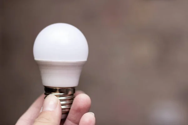 White light bulb in hand close up - Stock Image - Everypixel