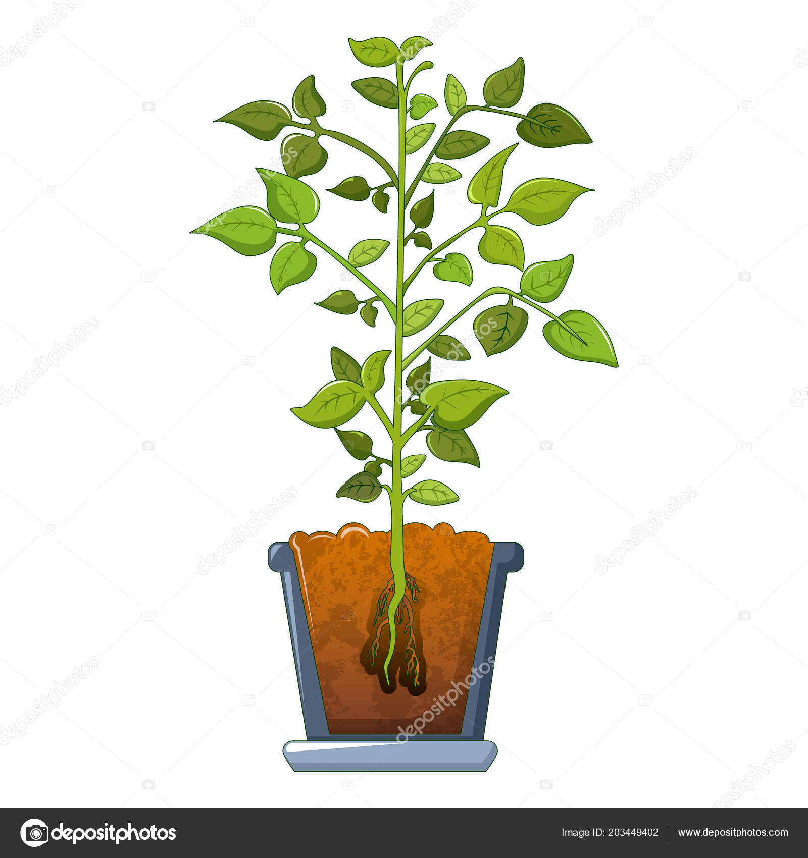Bean plant icon, cartoon style Stock Vector Image by ©ylivdesign #203449402
