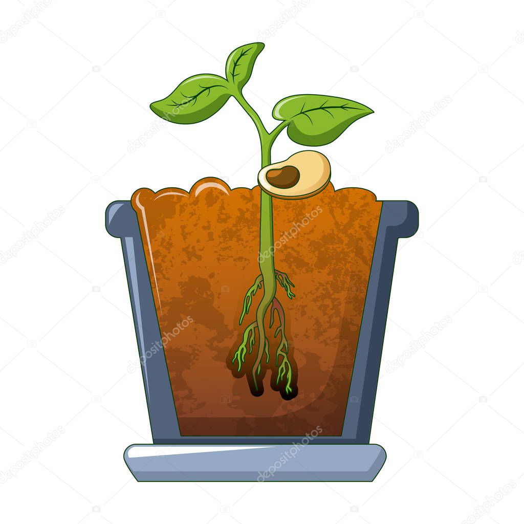 Icono de cultivo de plantas de frijol, estilo de dibujos animados 2022
