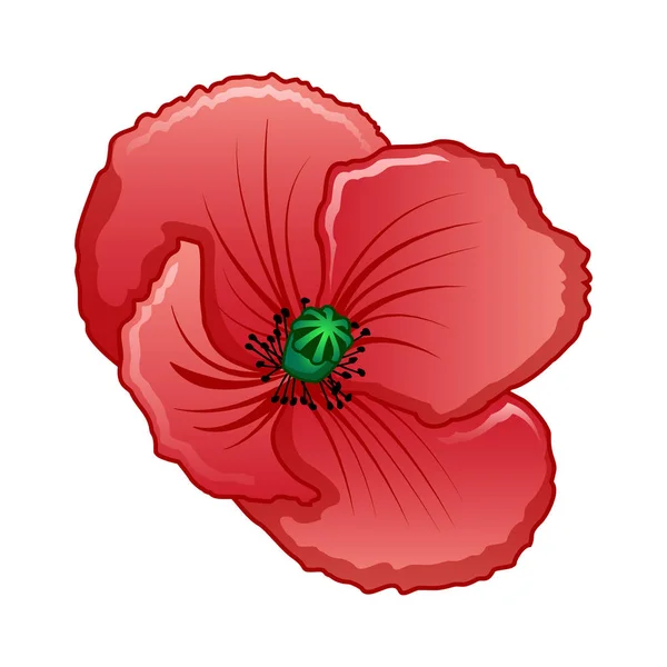 100,000 Anzac poppy Vector Images | Depositphotos