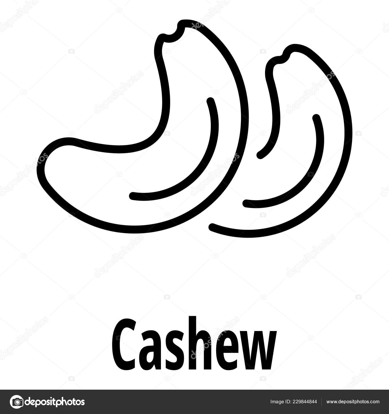 Cashew Vector