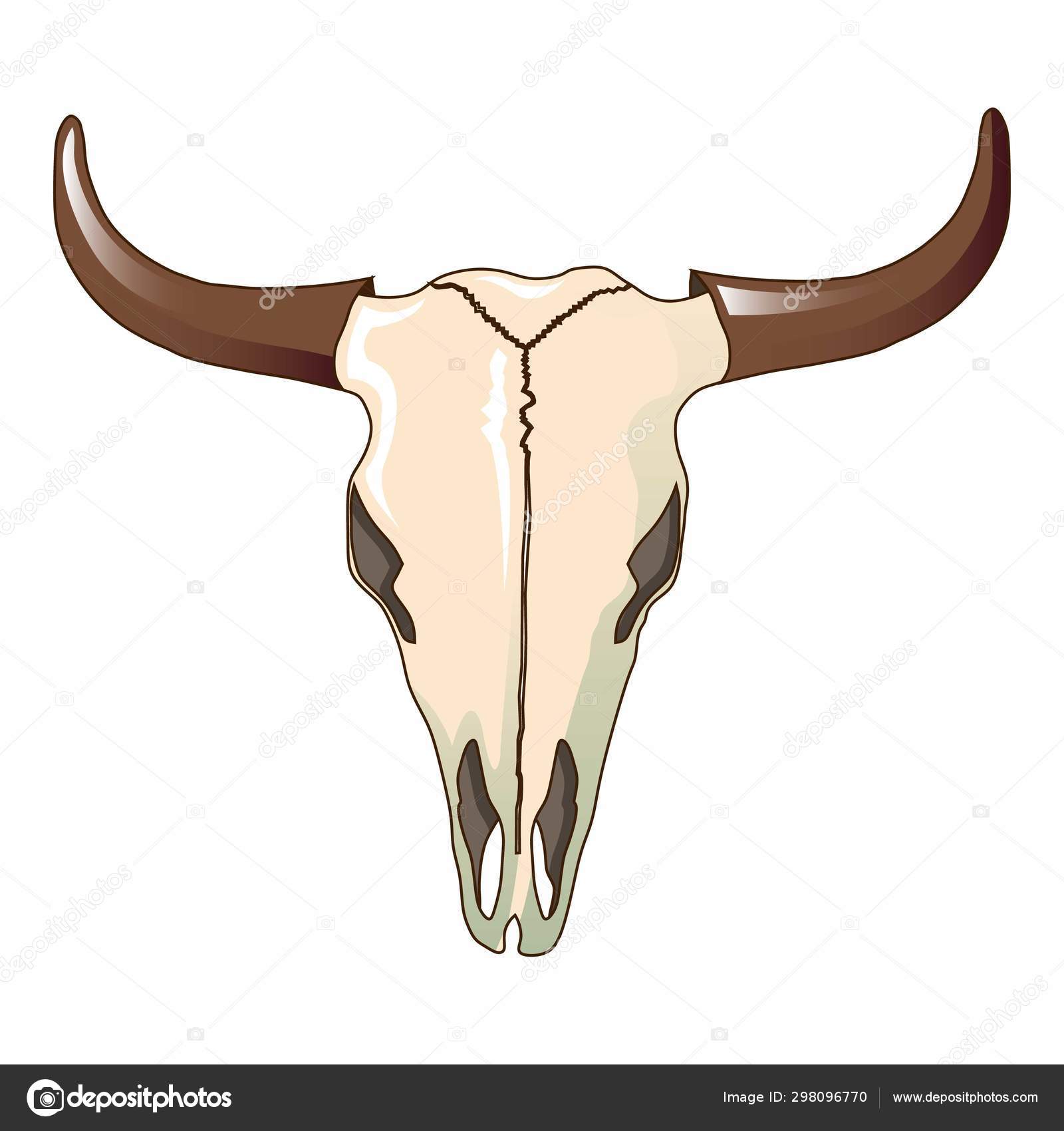 Steer Skull Symbol