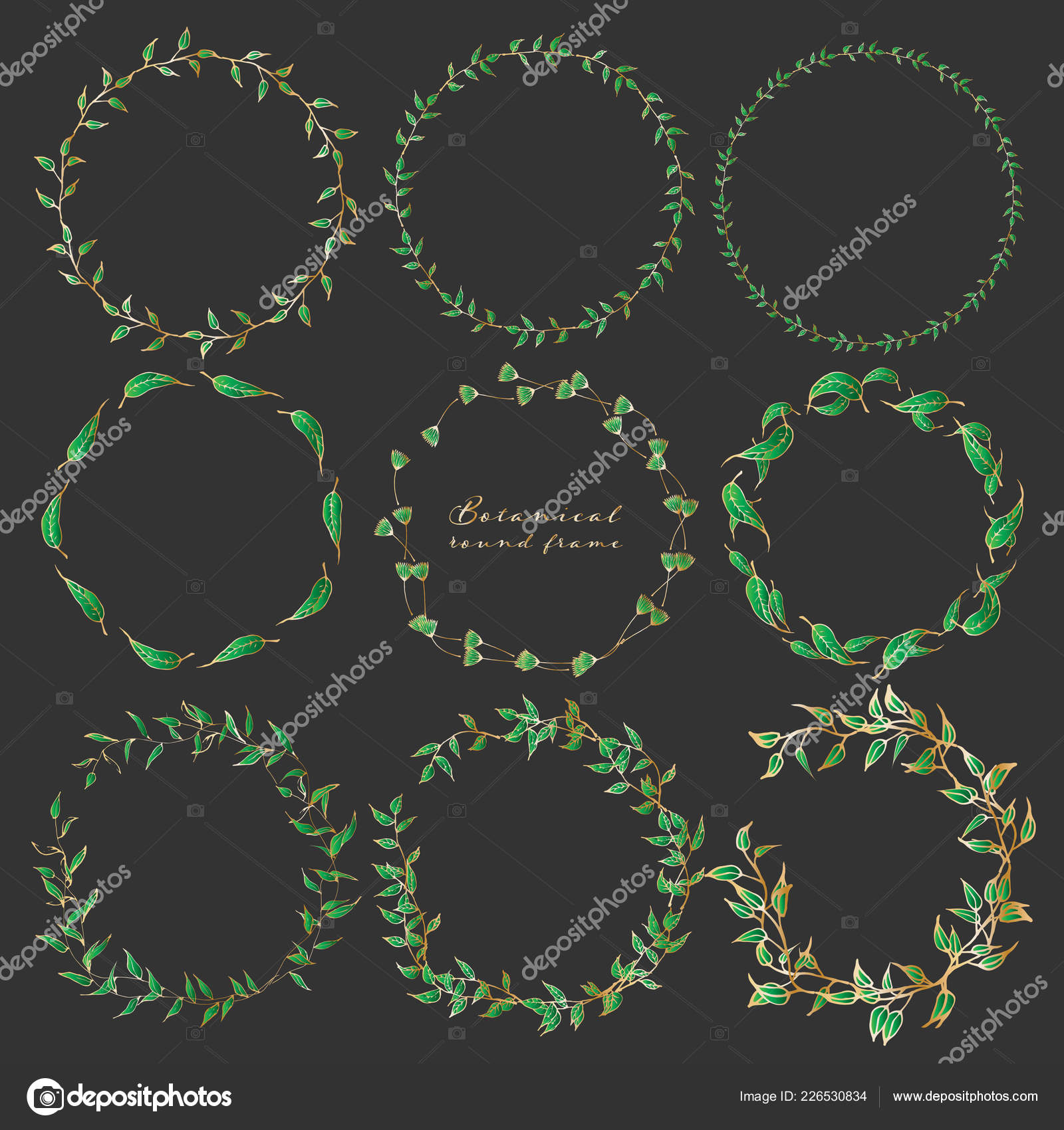 Set Botanical Frame Hand Drawn Flowers Botanical Composition Decorative ...