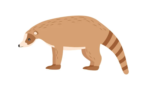Coati imágenes de stock de arte vectorial | Depositphotos