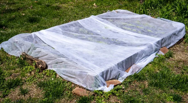 Germination bed Stock Photos, Royalty Free Germination bed Images ...