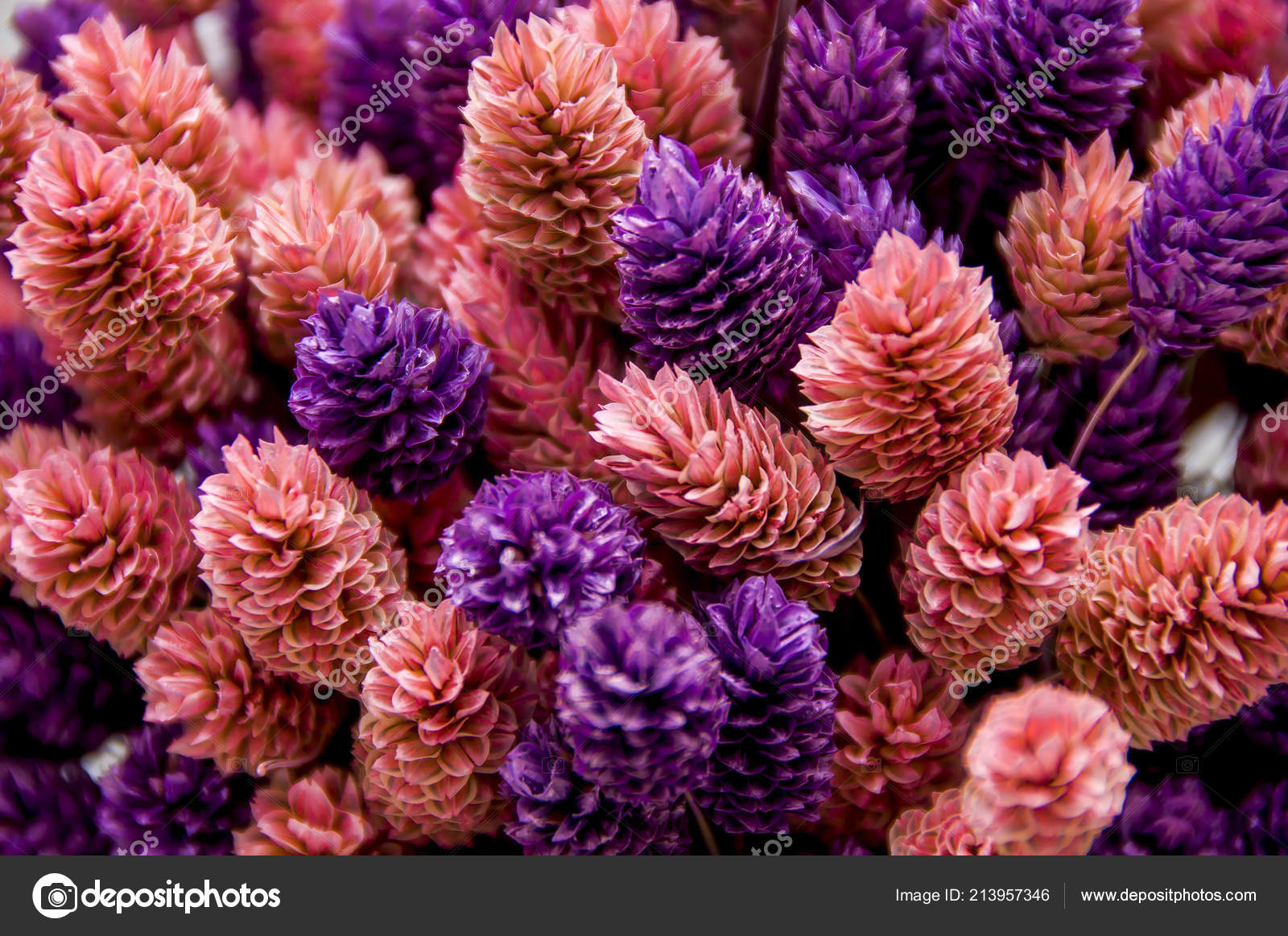 Background Pink Purple Small Cones Copy Space Texture Stock Photo by ...