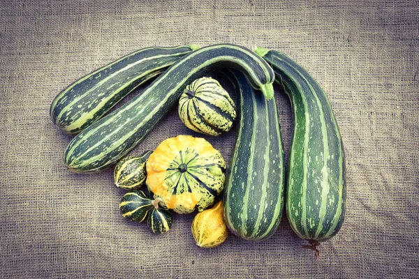 Zucchini Different Varieties Sizes Stock Photo by ©Schwerin 208714266