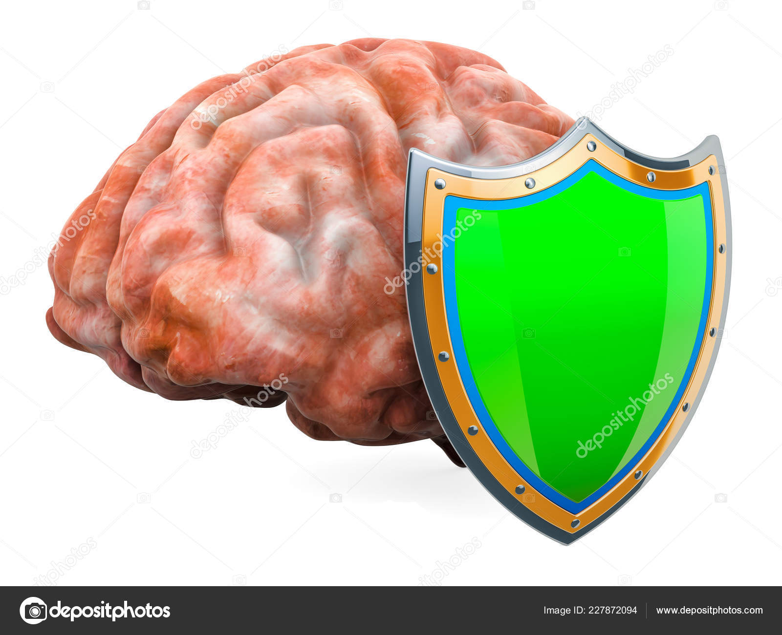 Human Brain Shield Brain Protect Concept Rendering Isolated White ...