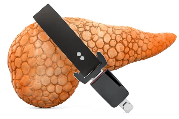 Human Pancreas Images - Search Images on Everypixel