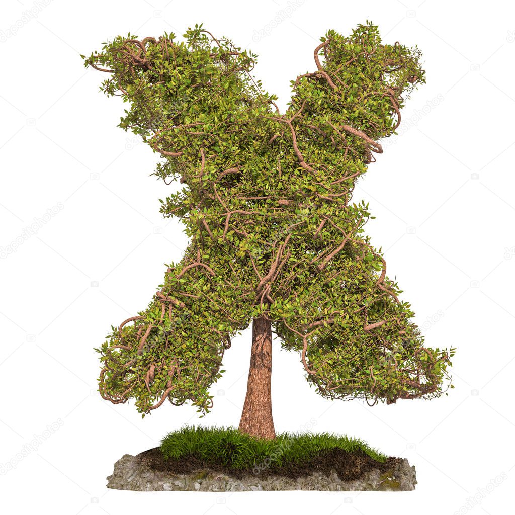 Letra del árbol X. Árbol en forma de letra X, representación 3D aislada ...