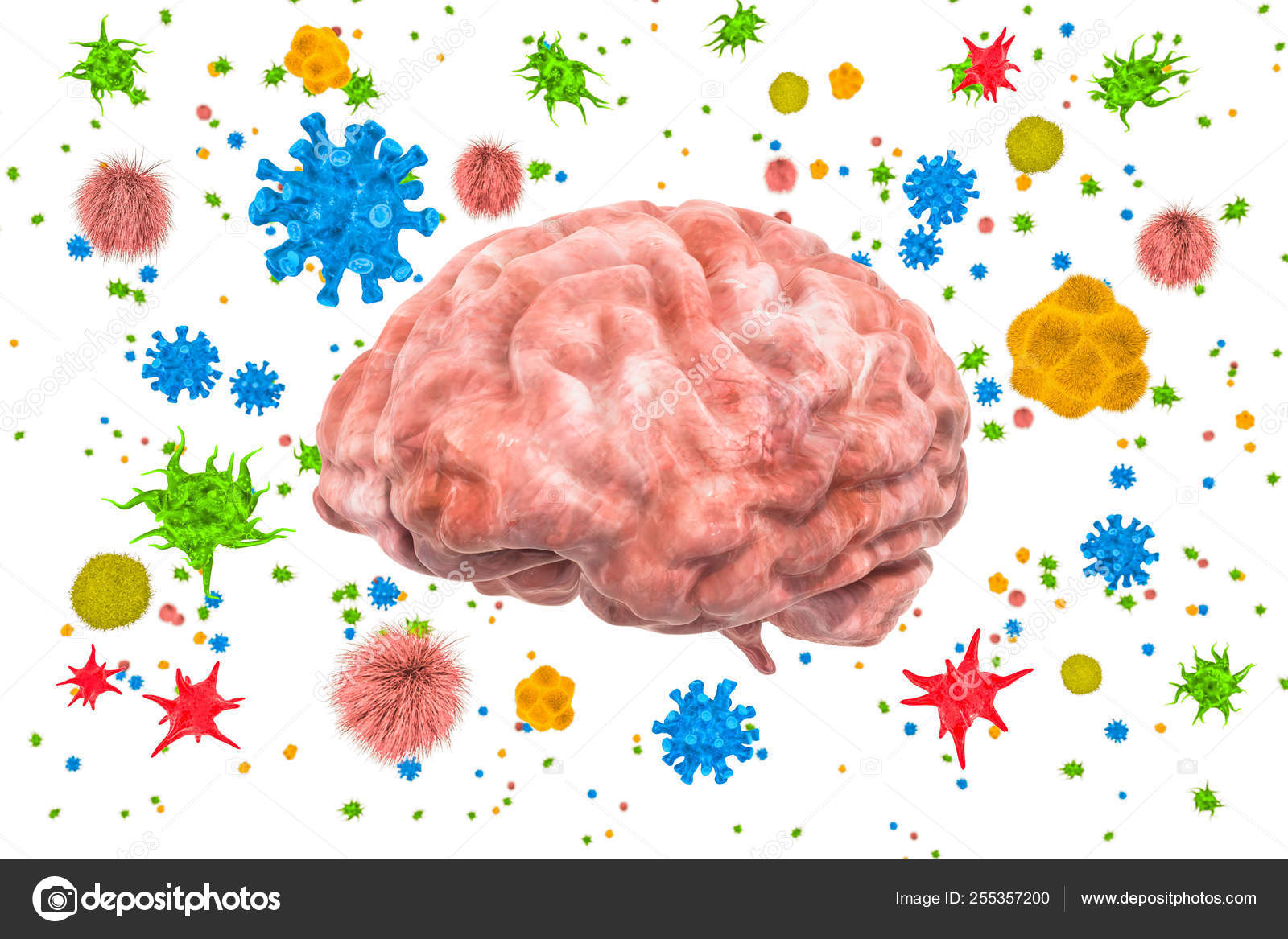 Brain with viruses and bacteria. Brain disease concept, 3D rende Stock ...
