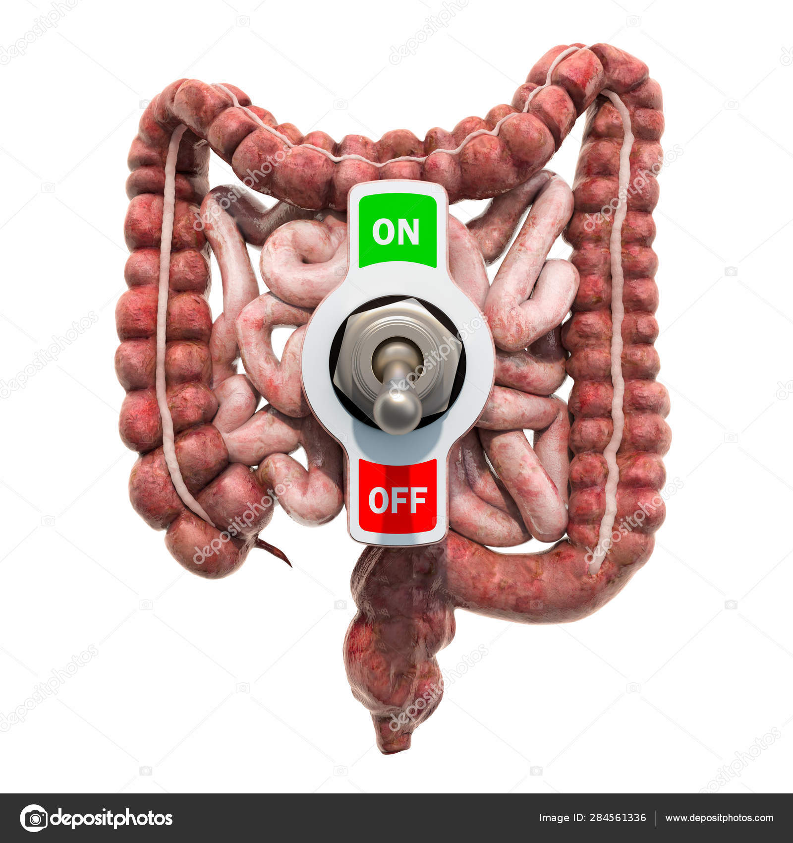 Human intestines with toggle switch. Abdominal pain concept Stock Photo ...