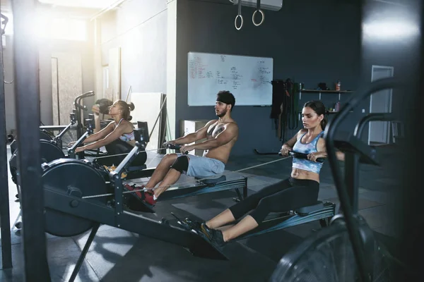 Rowing machines Stock Photos, Royalty Free Rowing machines Images ...