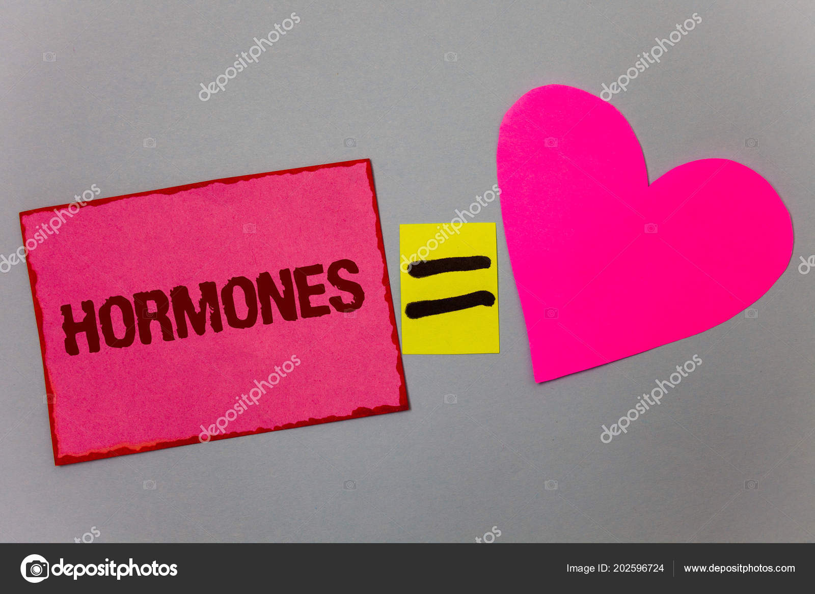 Text Sign Showing Hormones Conceptual Photo Regulatory Substance ...