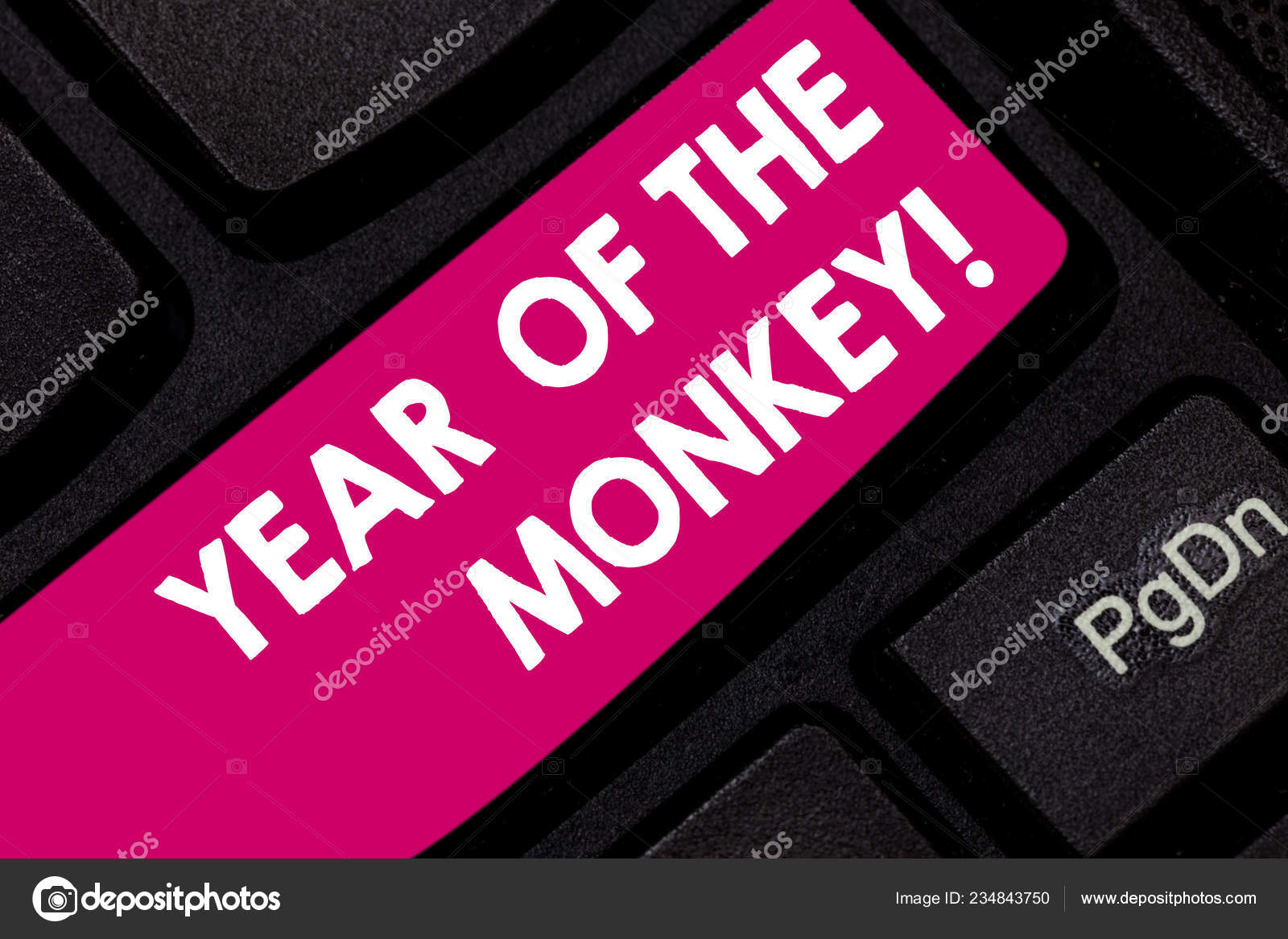 Monkey Keyboard