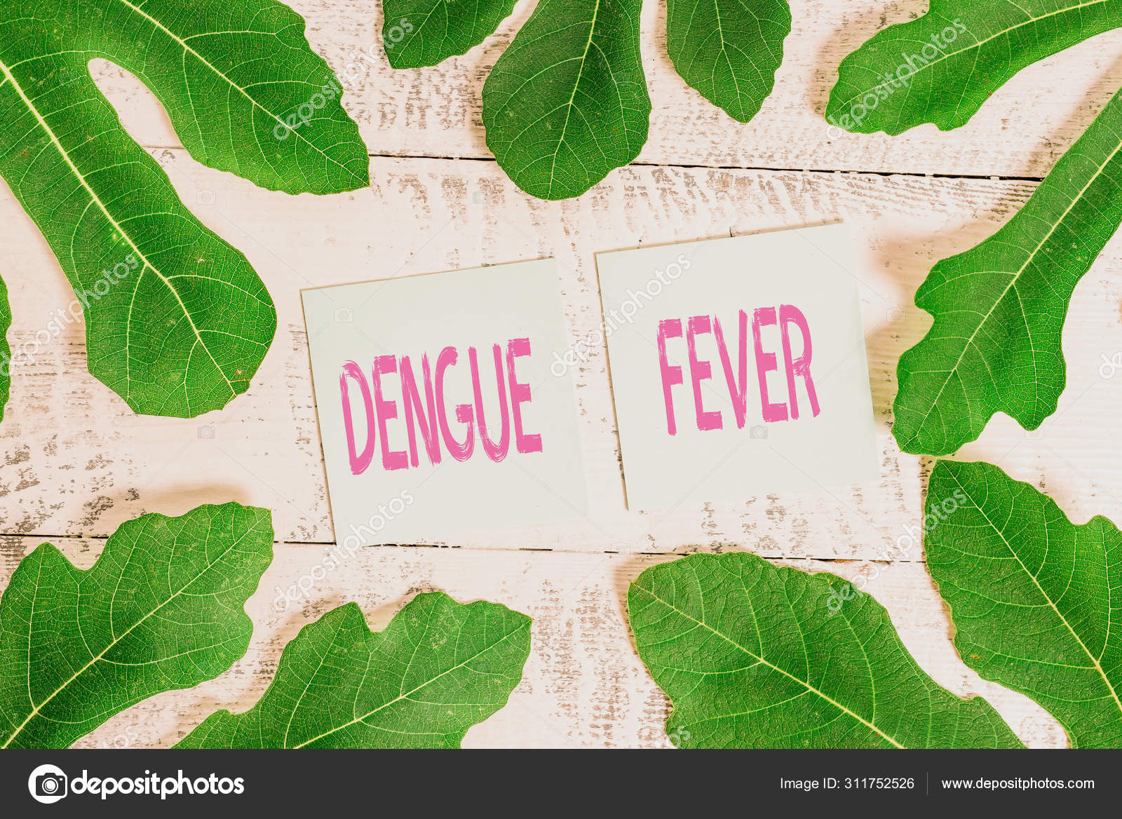 Handwriting text Dengue Fever. Concept meaning infectious disease ...