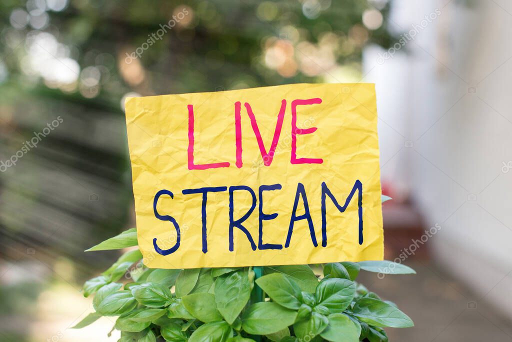 Texto de escritura de palabras Live Stream. Concepto de negocio para ...