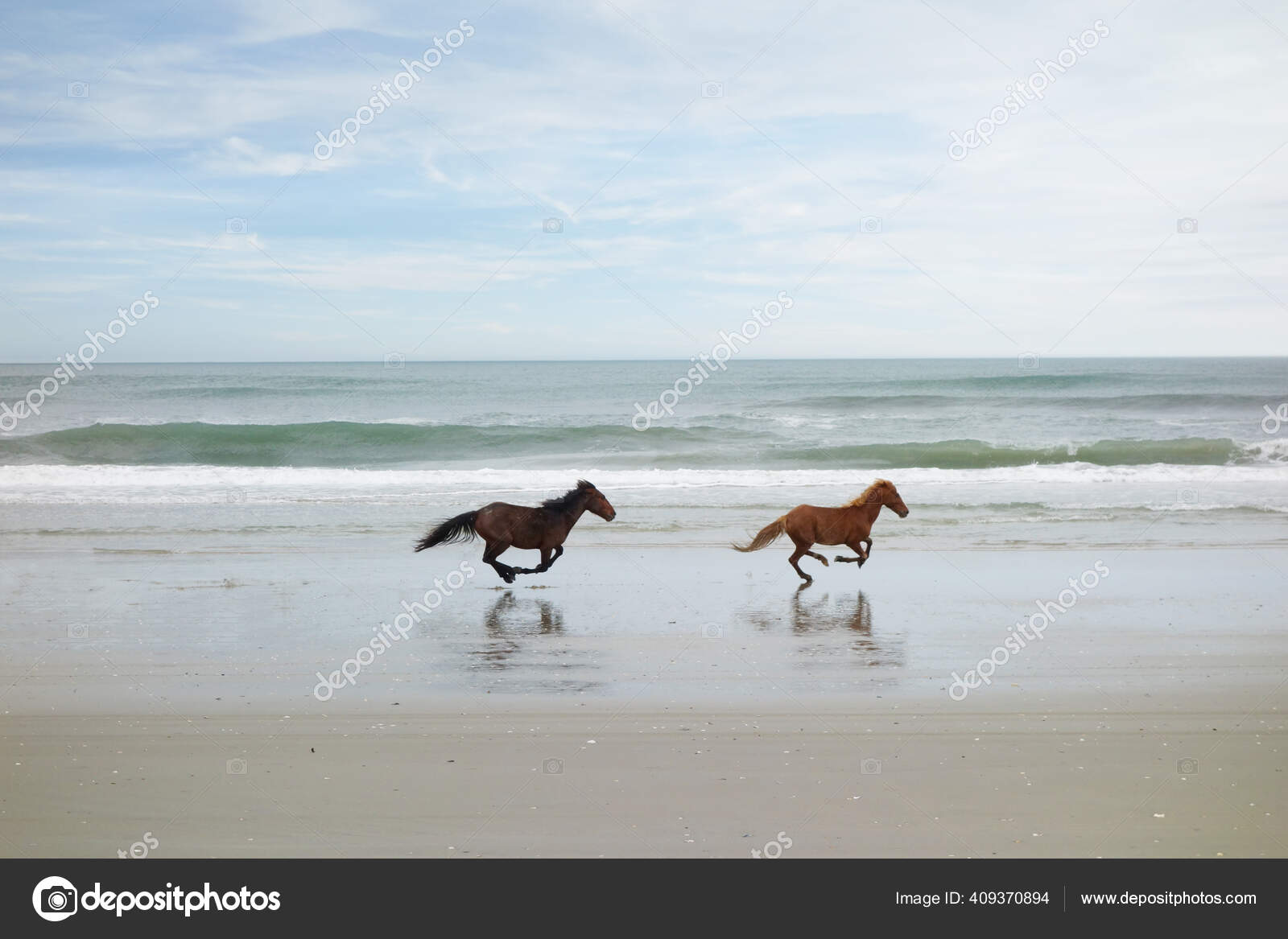 Wild Horses On The Beach