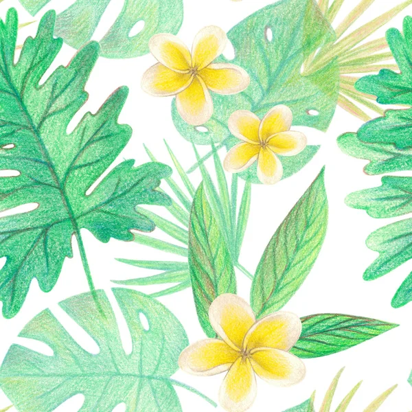 Hand Drawing Tropical Plants Palm Leaves Seamless Pattern Stock Illustration by ©alenaganzhela ...