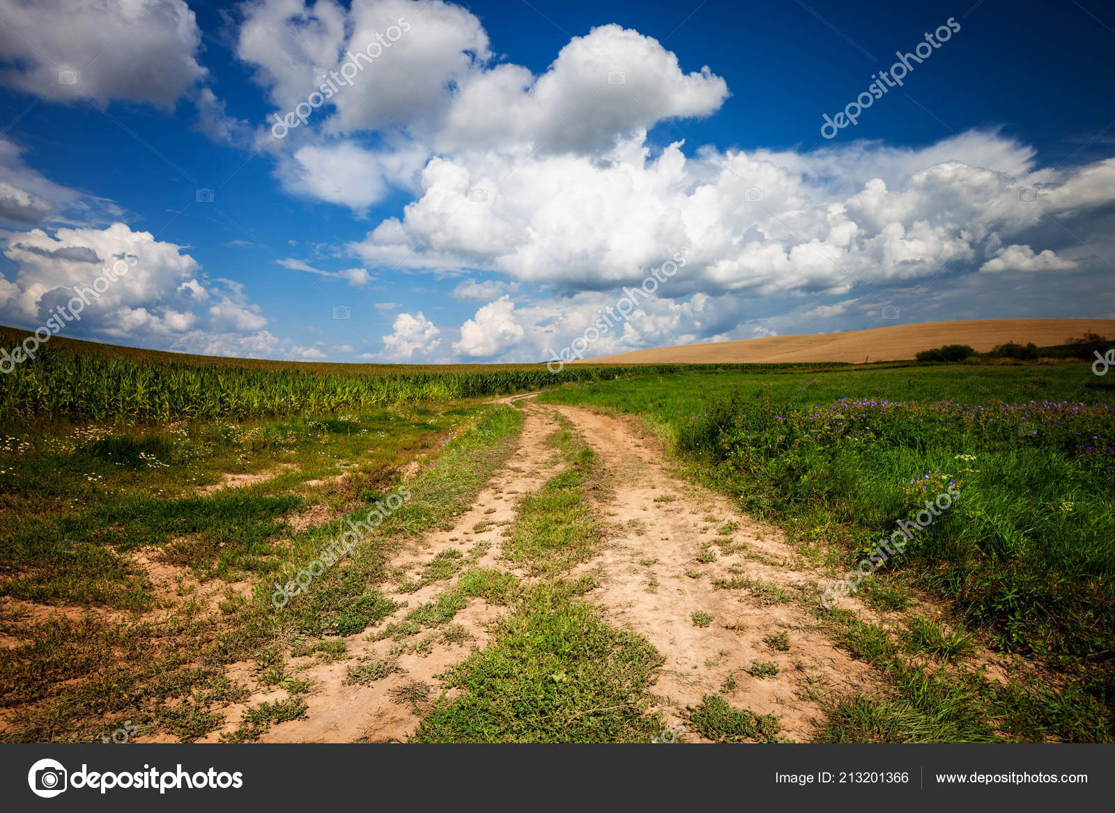 Long Winding Dirt Road