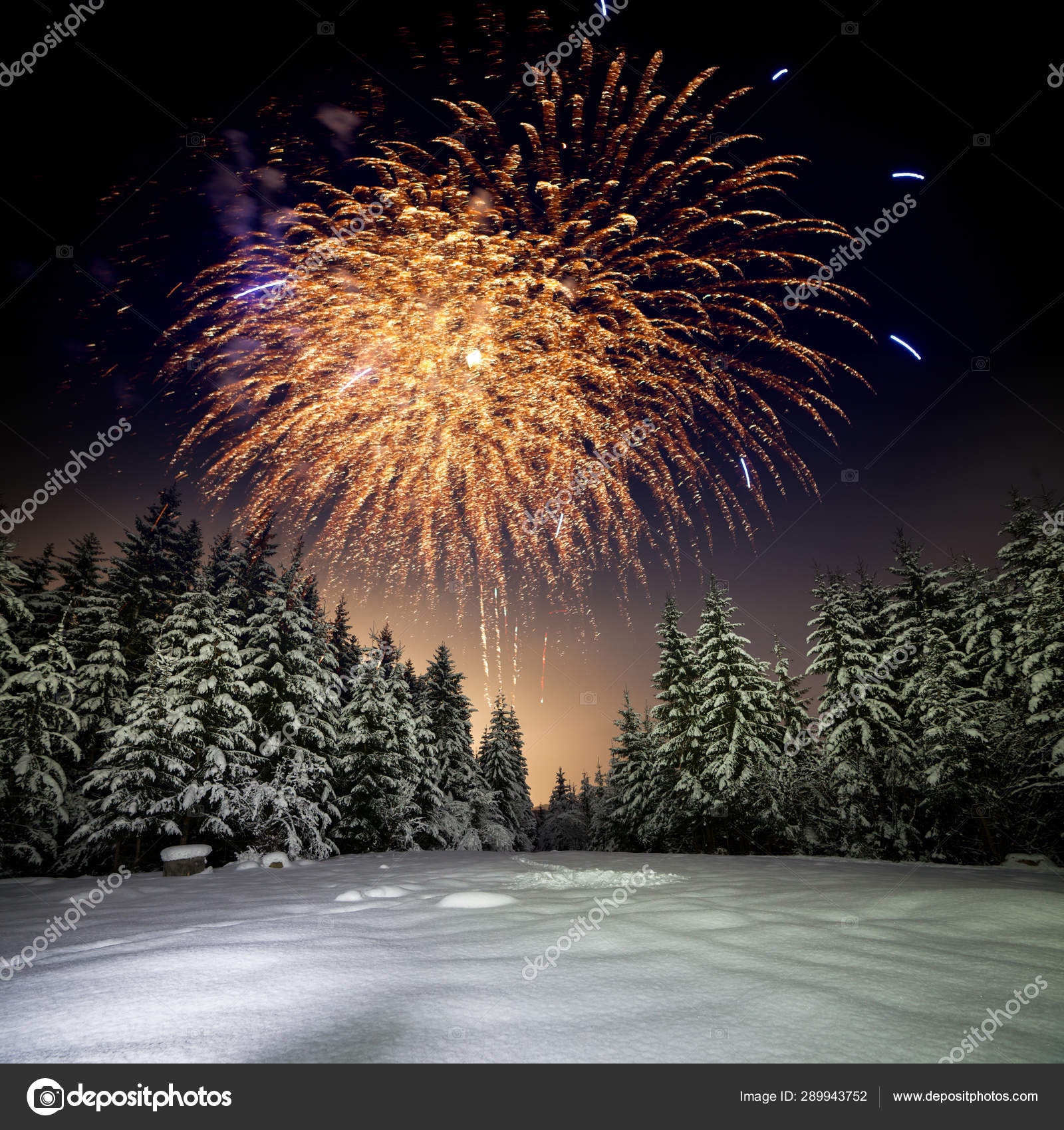 Pink Snow Forest Night