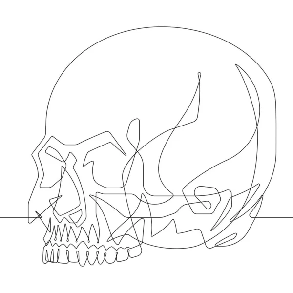 Skull line art Stock Photos, Royalty Free Skull line art Images ...