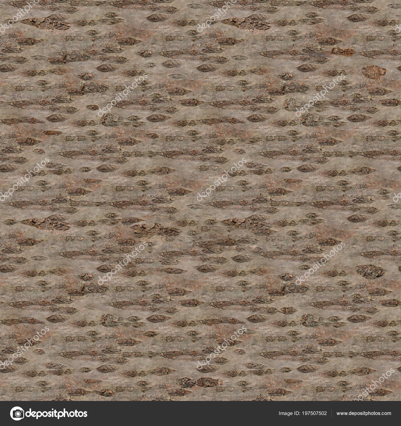 Cherry Tree Bark Seamless Texture Background Pattern Stock Photo by ...