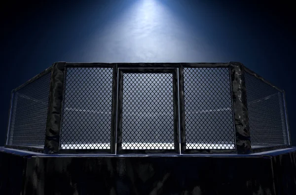 Mma cage Stock Photos, Royalty Free Mma cage Images | Depositphotos