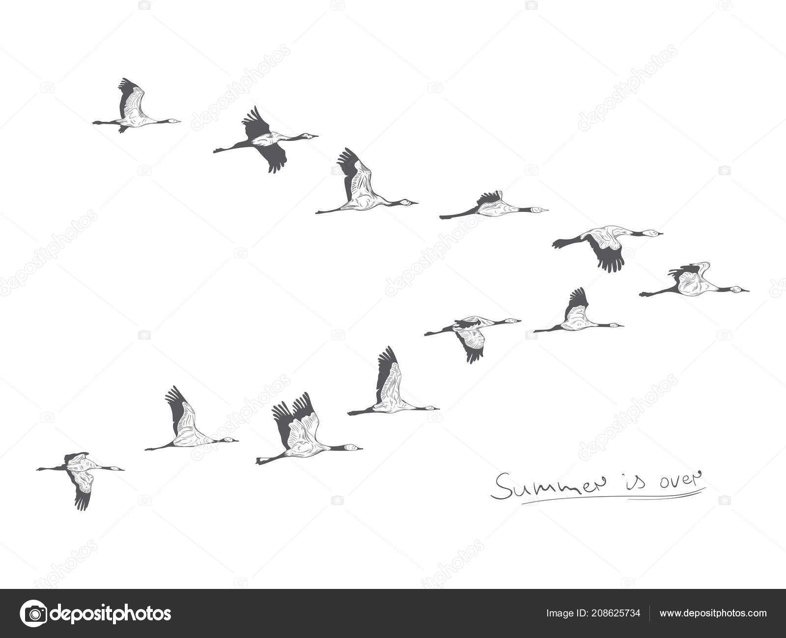 Flock of migrating storks flying. Migratory birds concept. Sketch style ...