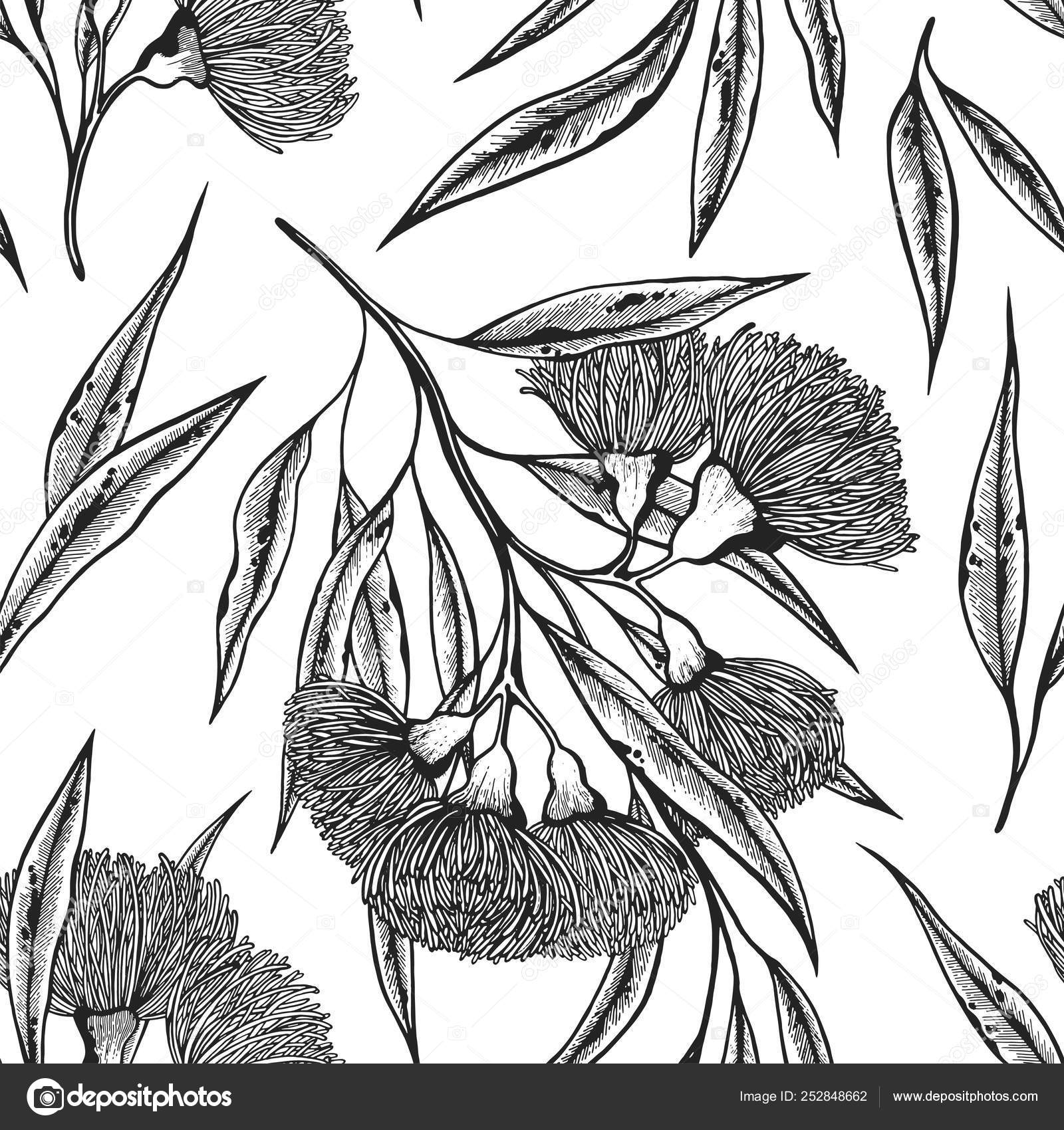 Black and white botanical vector pattern of clover. All element ...