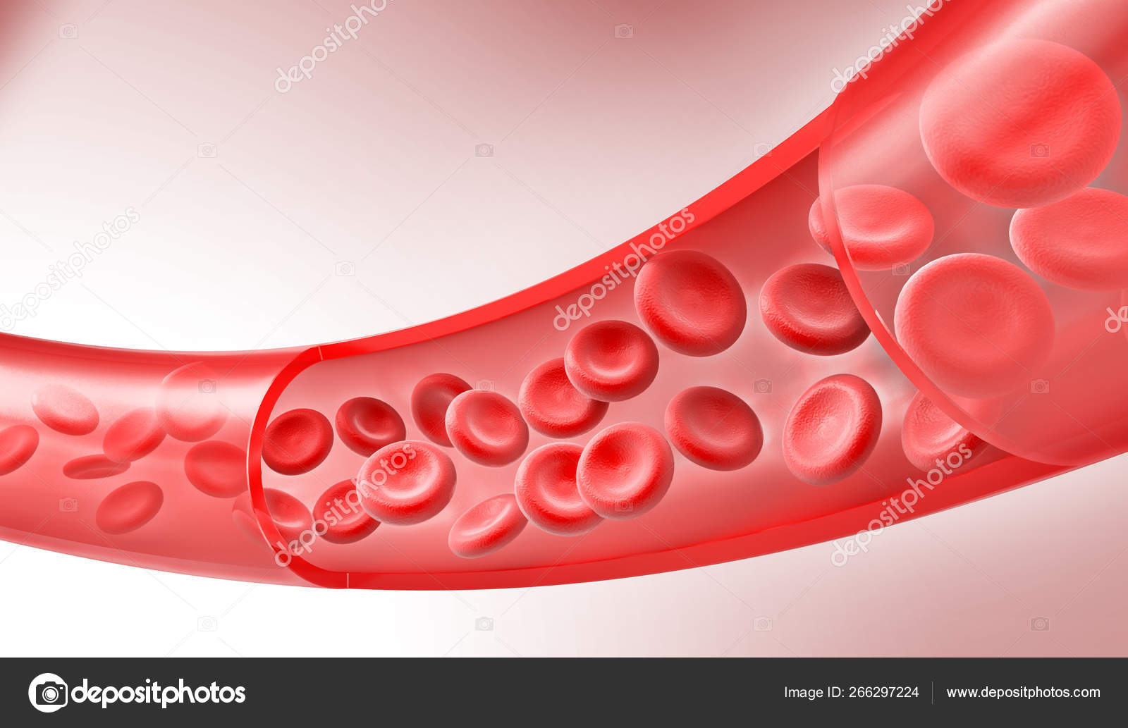 Red Blood cells flow through veins, Human body system, 3d rendering ...