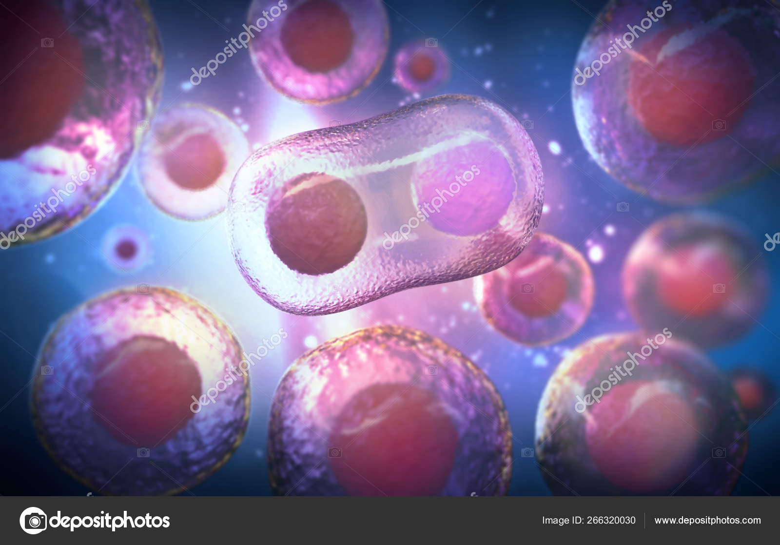 Microscopic Human Cells