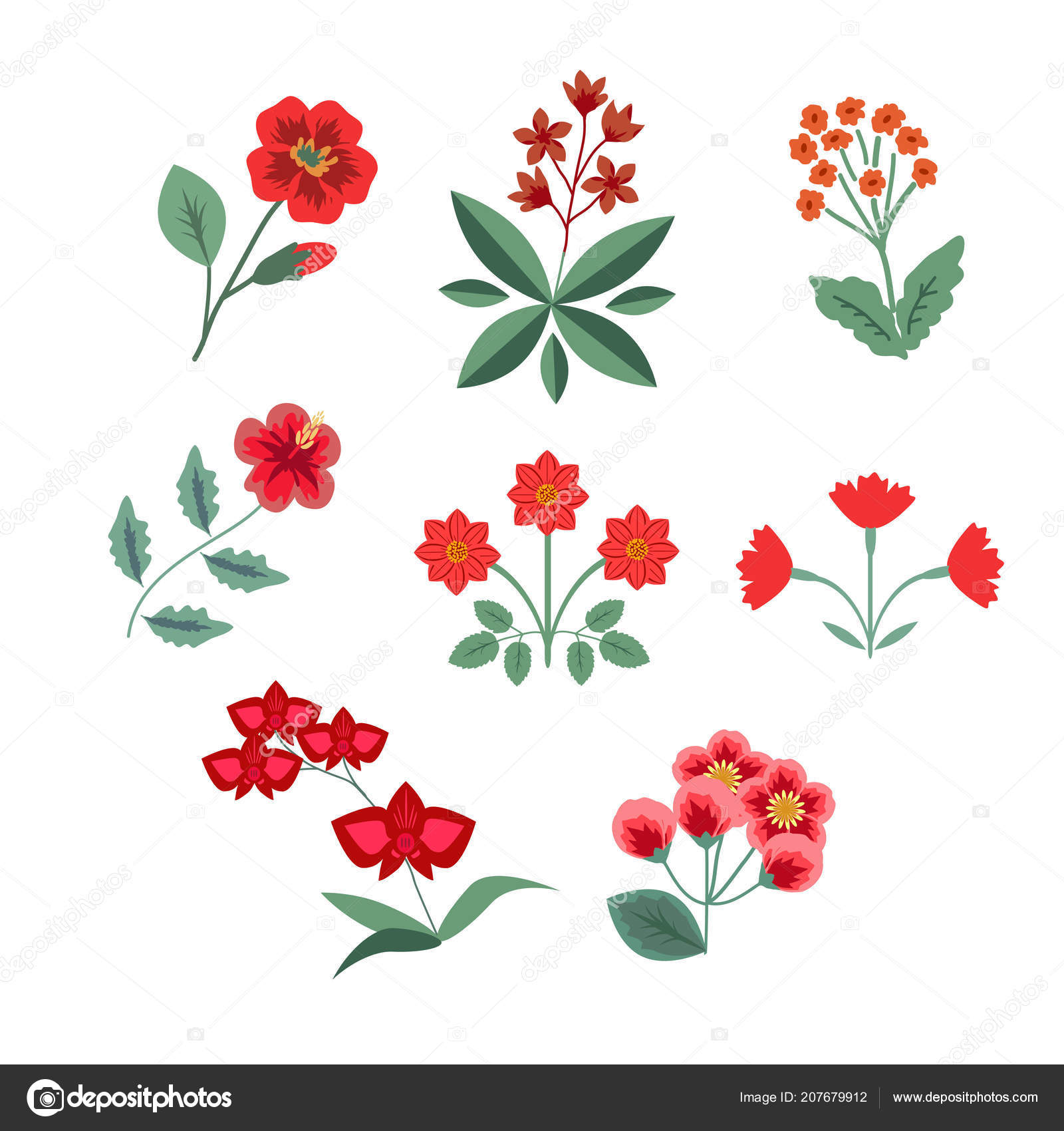 Vektor Bunga Merah Diisolasi Ditata Vektor Stok oleh ©elyomys 207679912