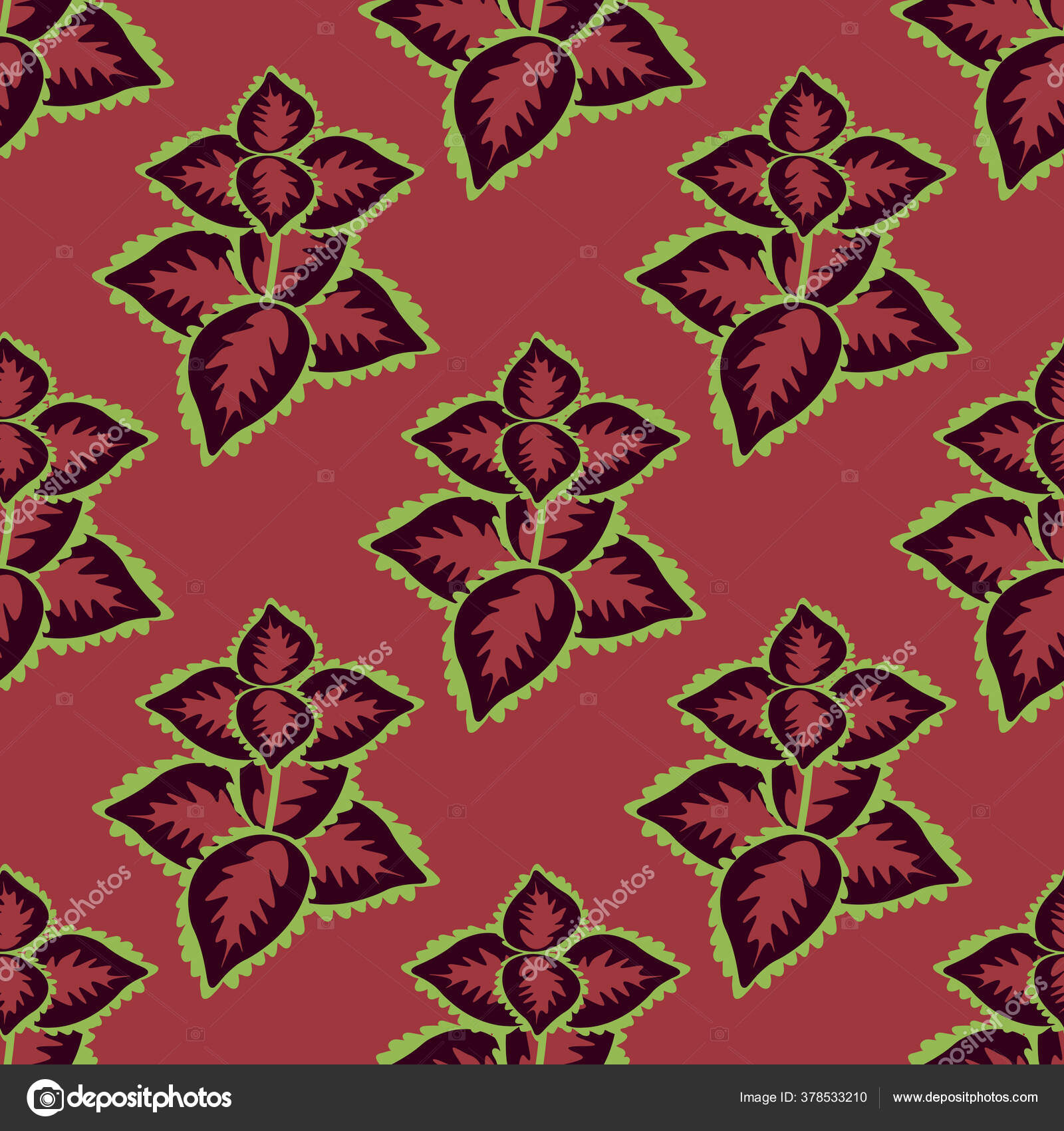Seamless Coleus Vector Decorative Pattern ⬇ Vector Image by © elyomys ...