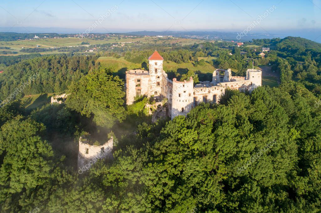 Ruinas del castillo medieval de Tenczyn en Rudno cerca de Cracovia en ...
