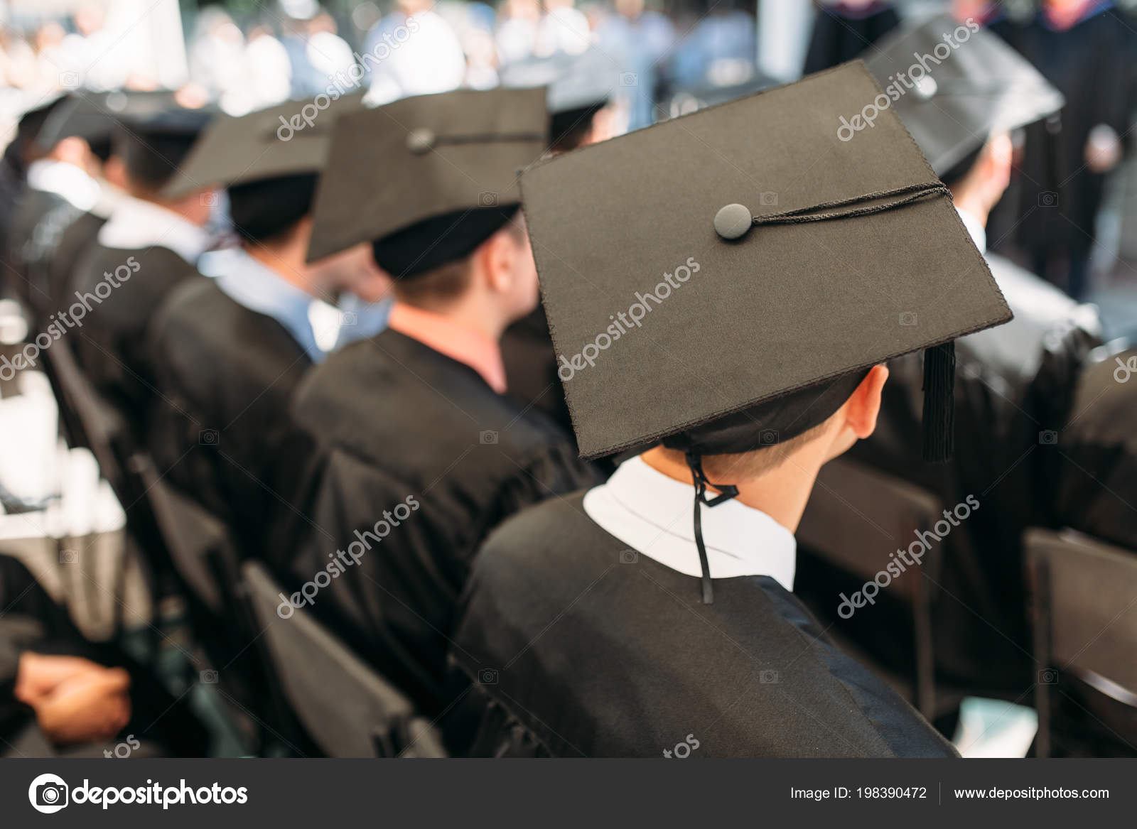 Los Graduados Exitosos Vestidos Académicos Graduación Sentados Forma ...
