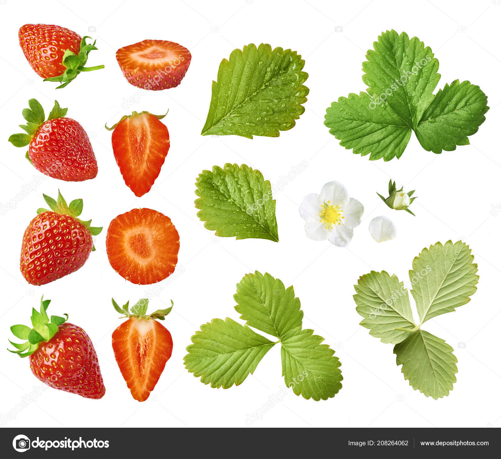 Colección Con Fresa Fresca Jugosa Hojas Verdes Aisladas Fondo Blanco ...