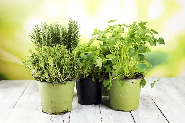 Herbs in pots Stock Photos, Royalty Free Herbs in pots Images ...