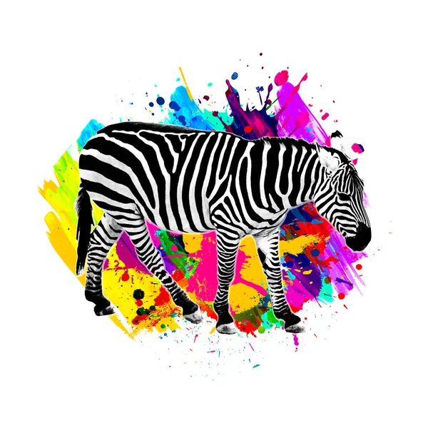 Animal cmyk Stock Photos, Royalty Free Animal cmyk Images | Depositphotos