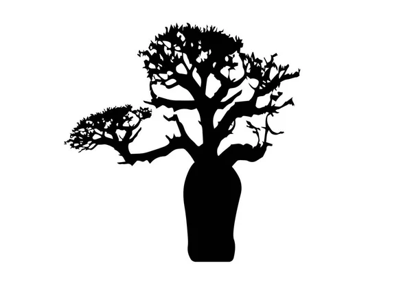 Boab tree Vector Art Stock Images | Depositphotos