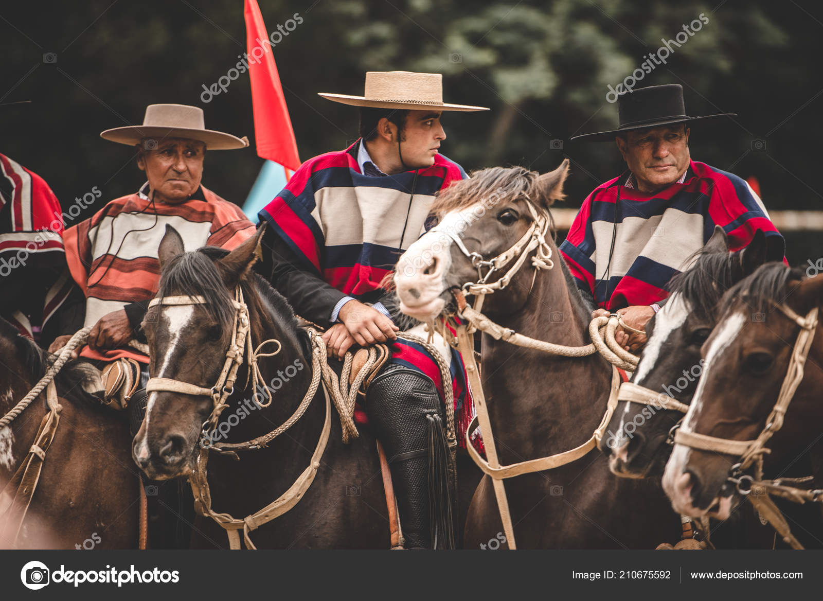 Pichilemu Región Sexta Chile Febrero 2018 Huasos Tradicionales Chilenos ...